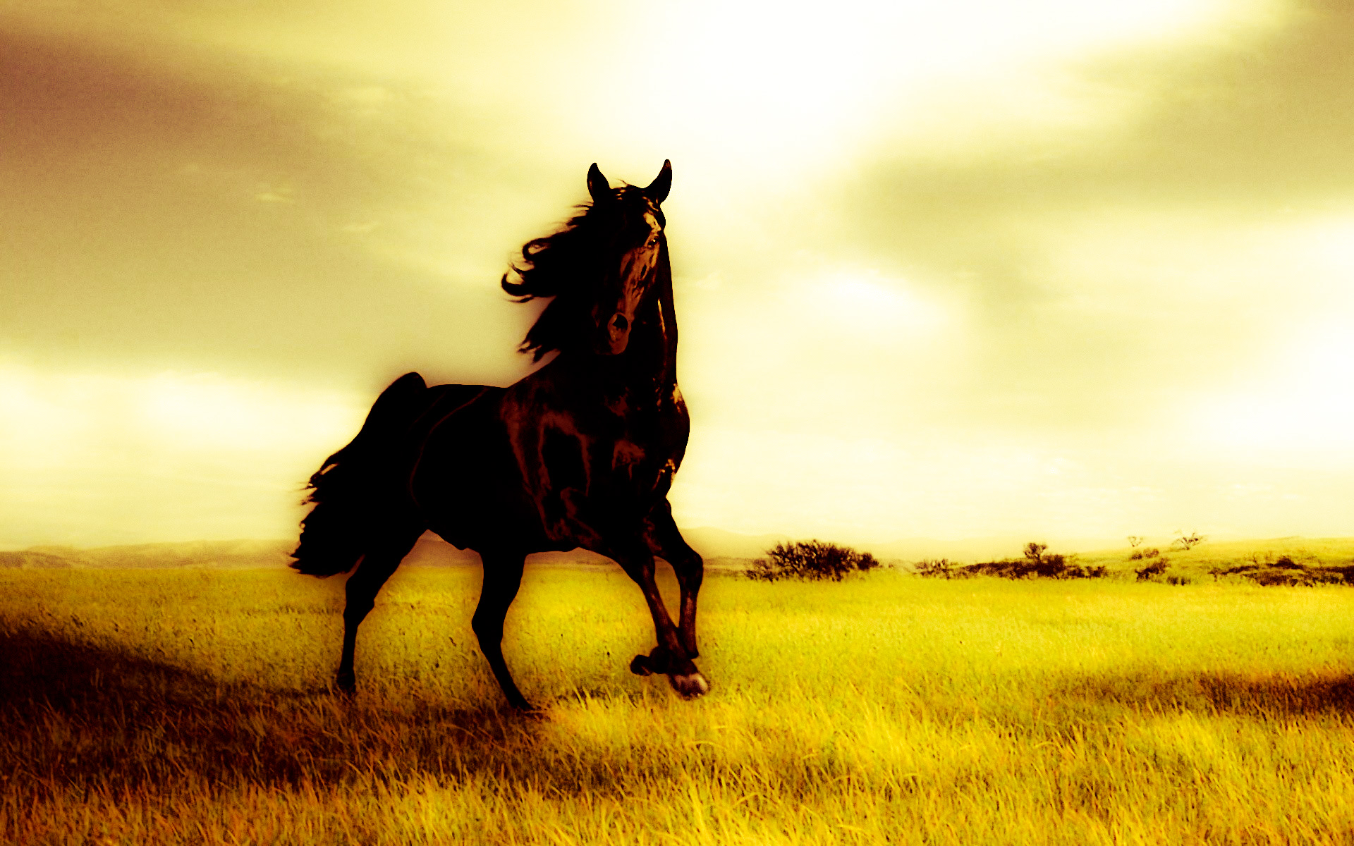 A Vila de Amphail e seu Povo Aventureiros dos Reinos